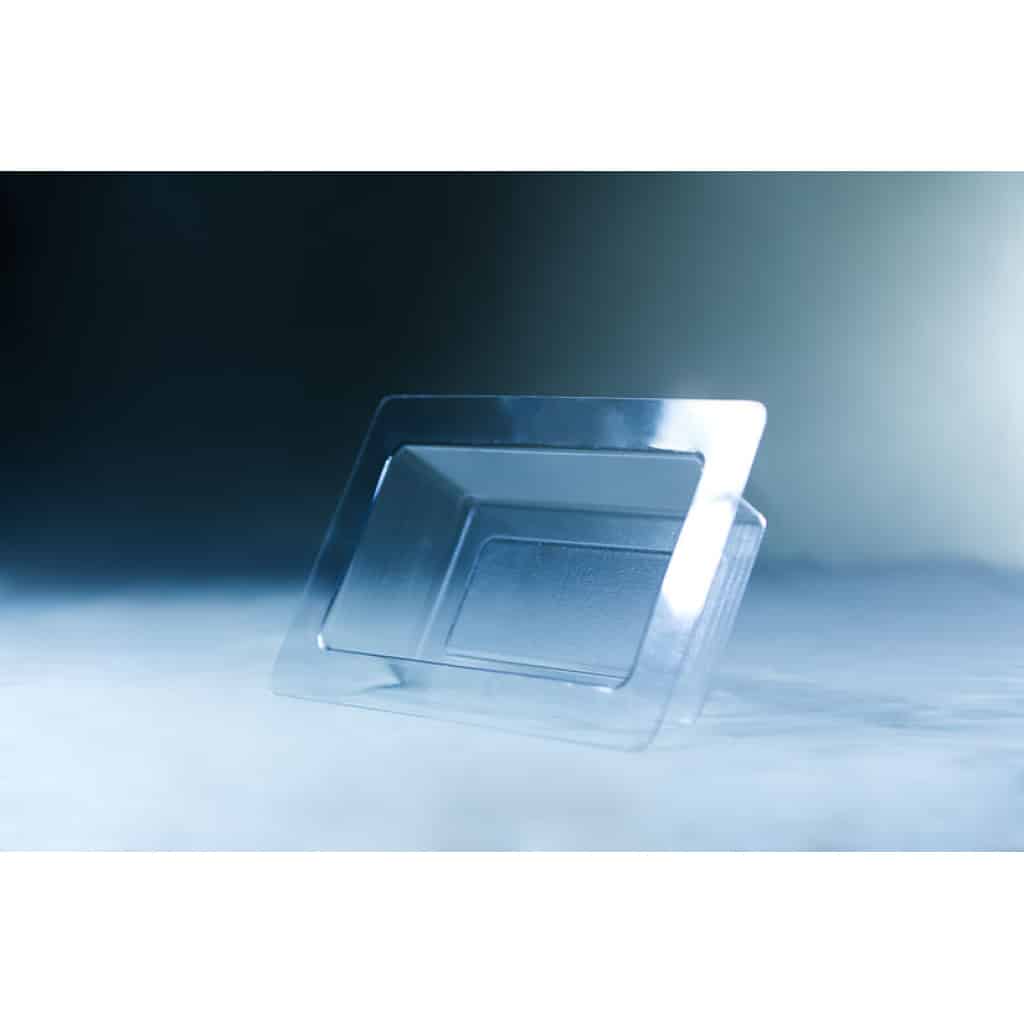 Unique Mycelium Mold Growth Form - Brick Mold Growth | Rootlab